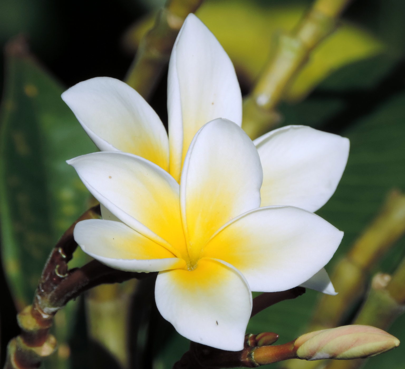 How to Overcome Writer's Block Once and For All